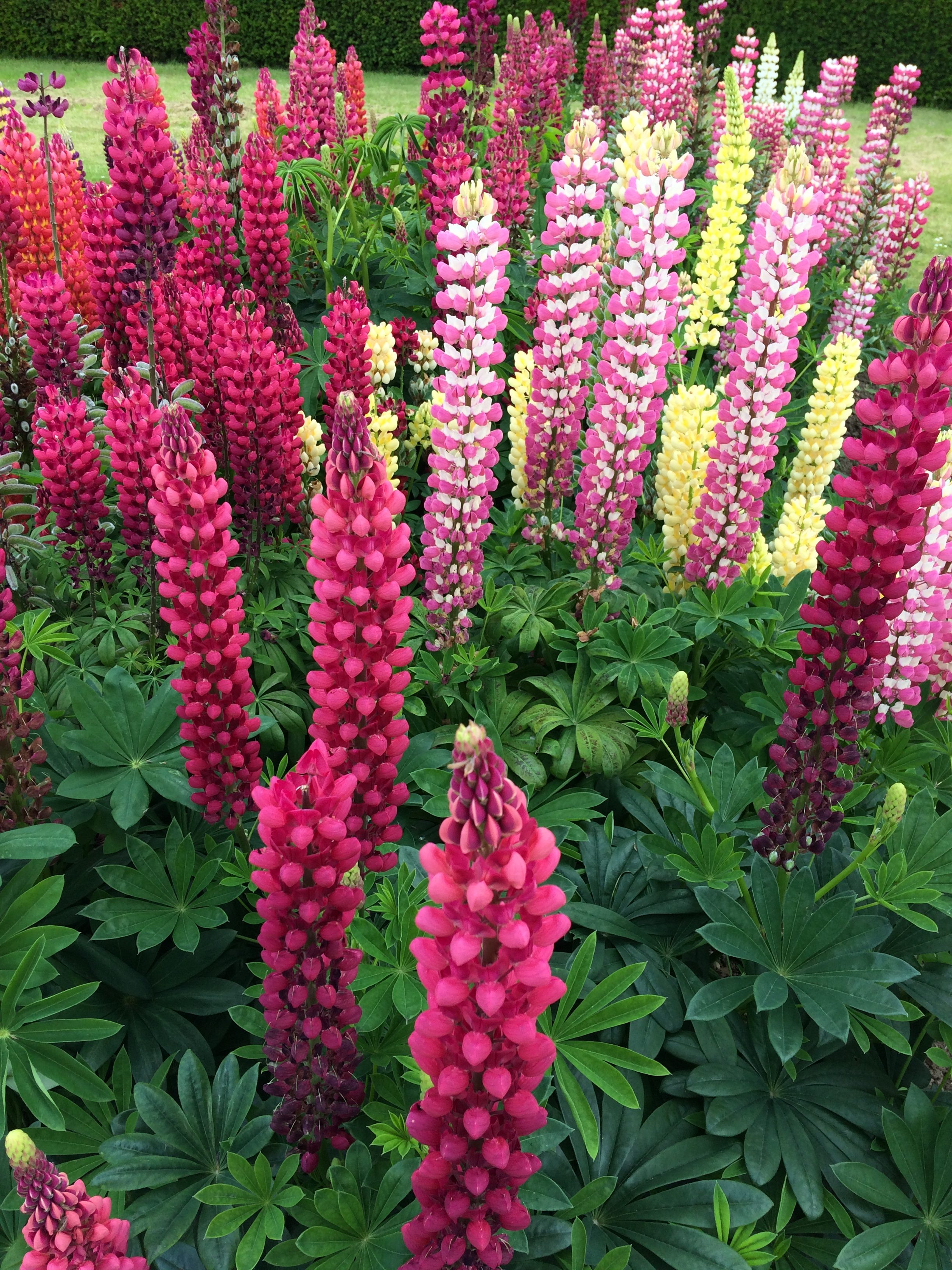 ABINGDON WI – ABINGDON FITZHARRYS WOMEN'S INSTITUTE